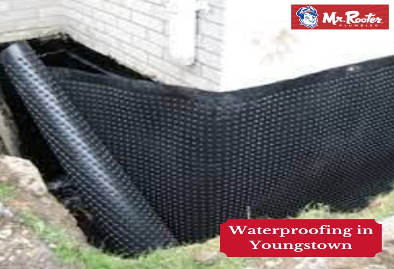 How to Find a Professional Waterproofing Service? - ResidenceZone